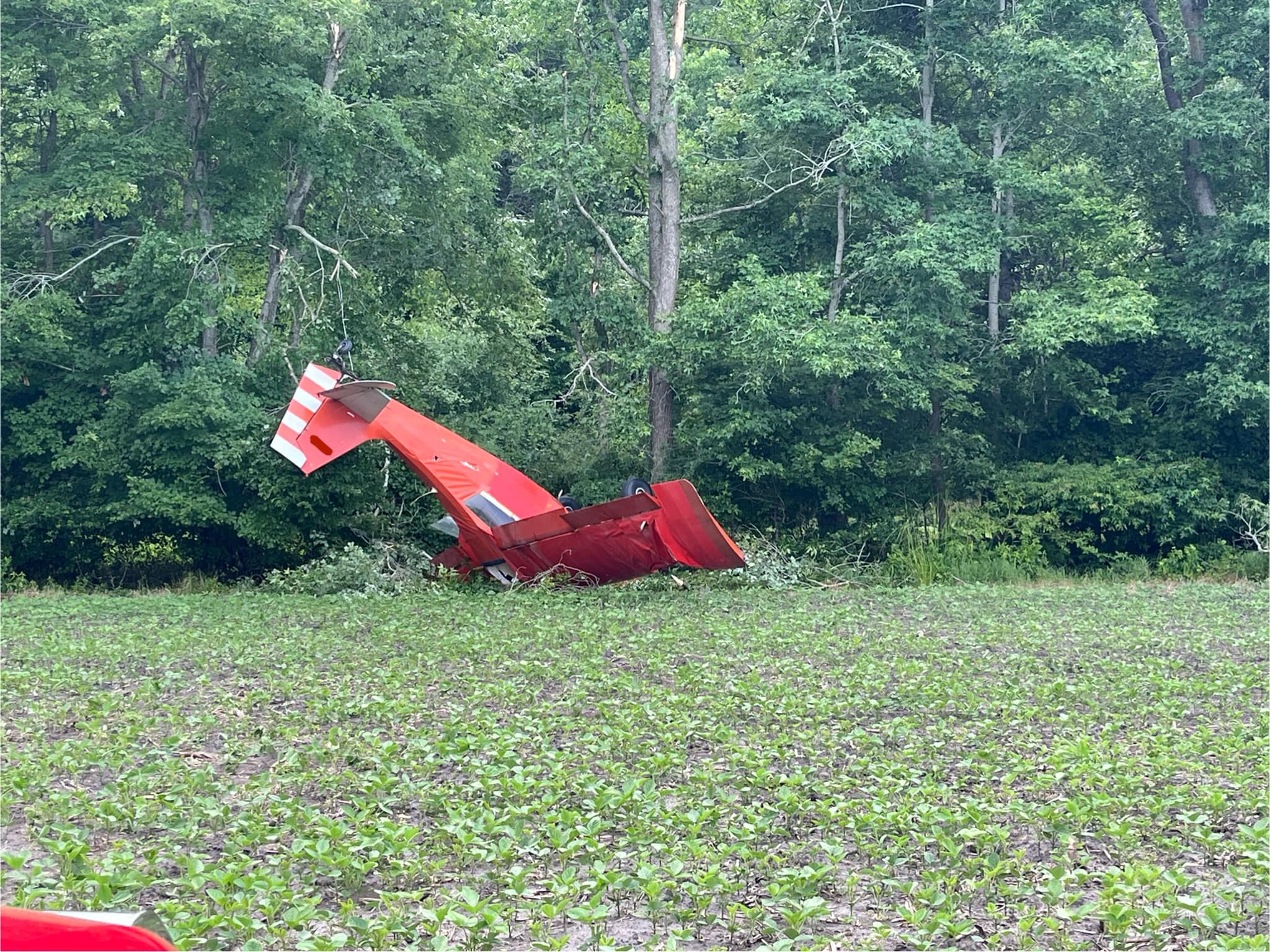 Small airplane crashes in field after crashing into trees - Houston ...
