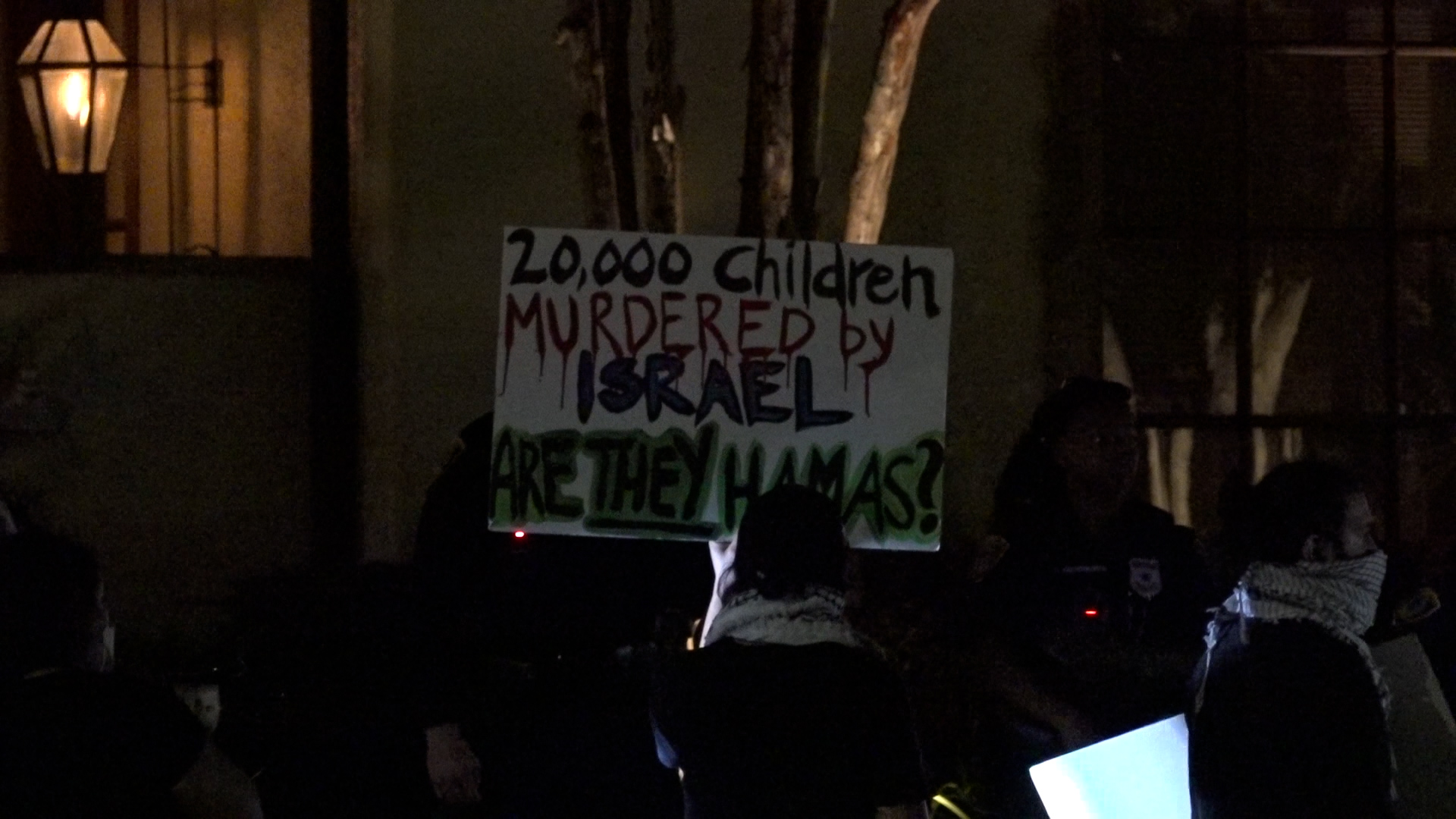 Several pro-Palestine protestors detained during late night protest ...